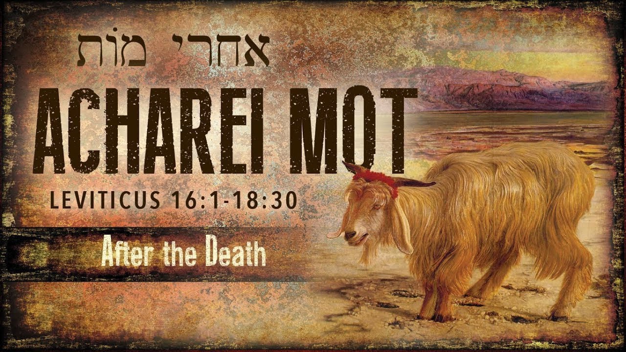 ACHERI MOT-KADOSHIM (After the death-Holiness) Lev 16-20| 04-05-23 ...