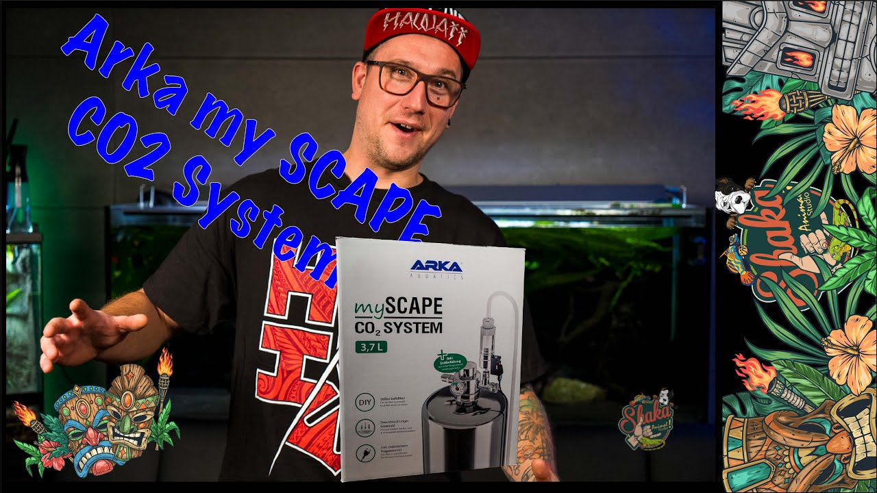 Arka My Scape Co2 DIY System Vorstellung - YouTube