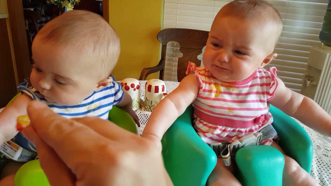 Ruby the Dinner Boss and Roxy the Delicate Eater - YouTube