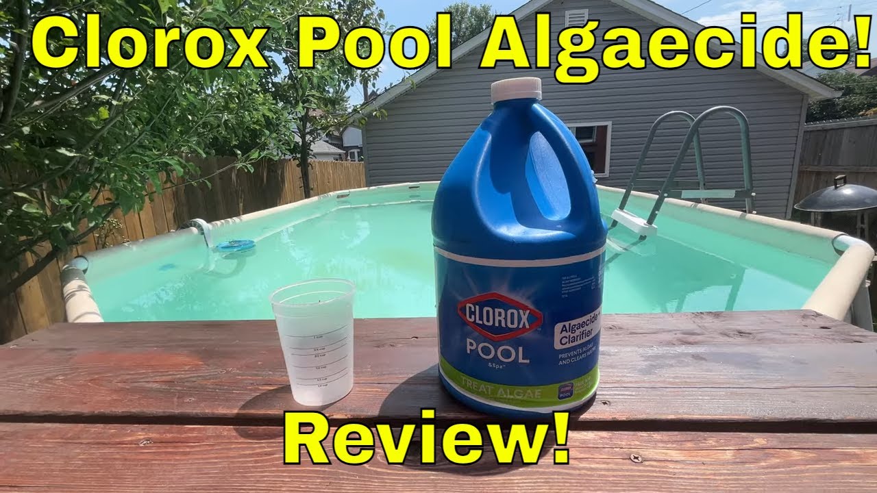 Clorox Pool Algaecide and Clarifier Review! Best Pool Chemicals ...
