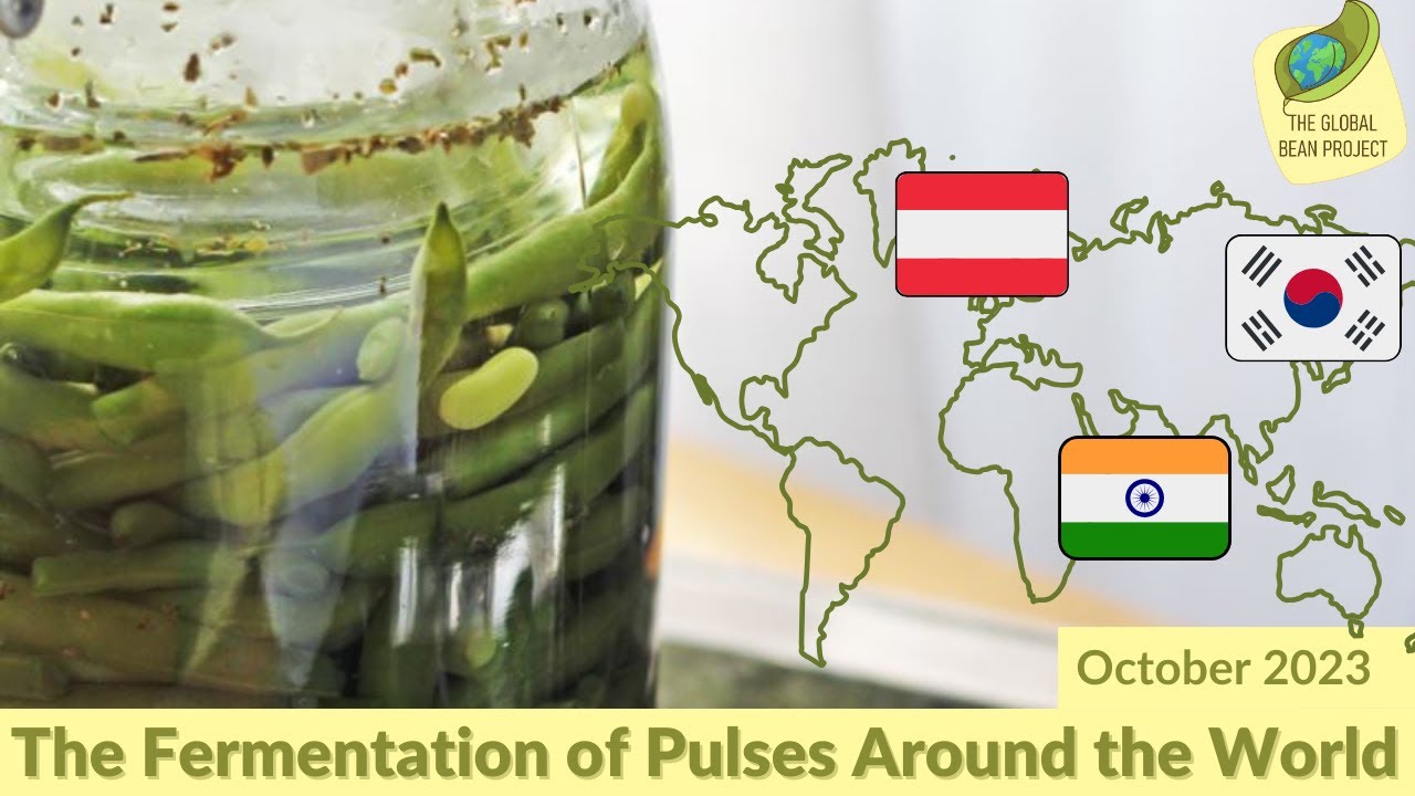 The Fermentation of Pulses Around the World - YouTube
