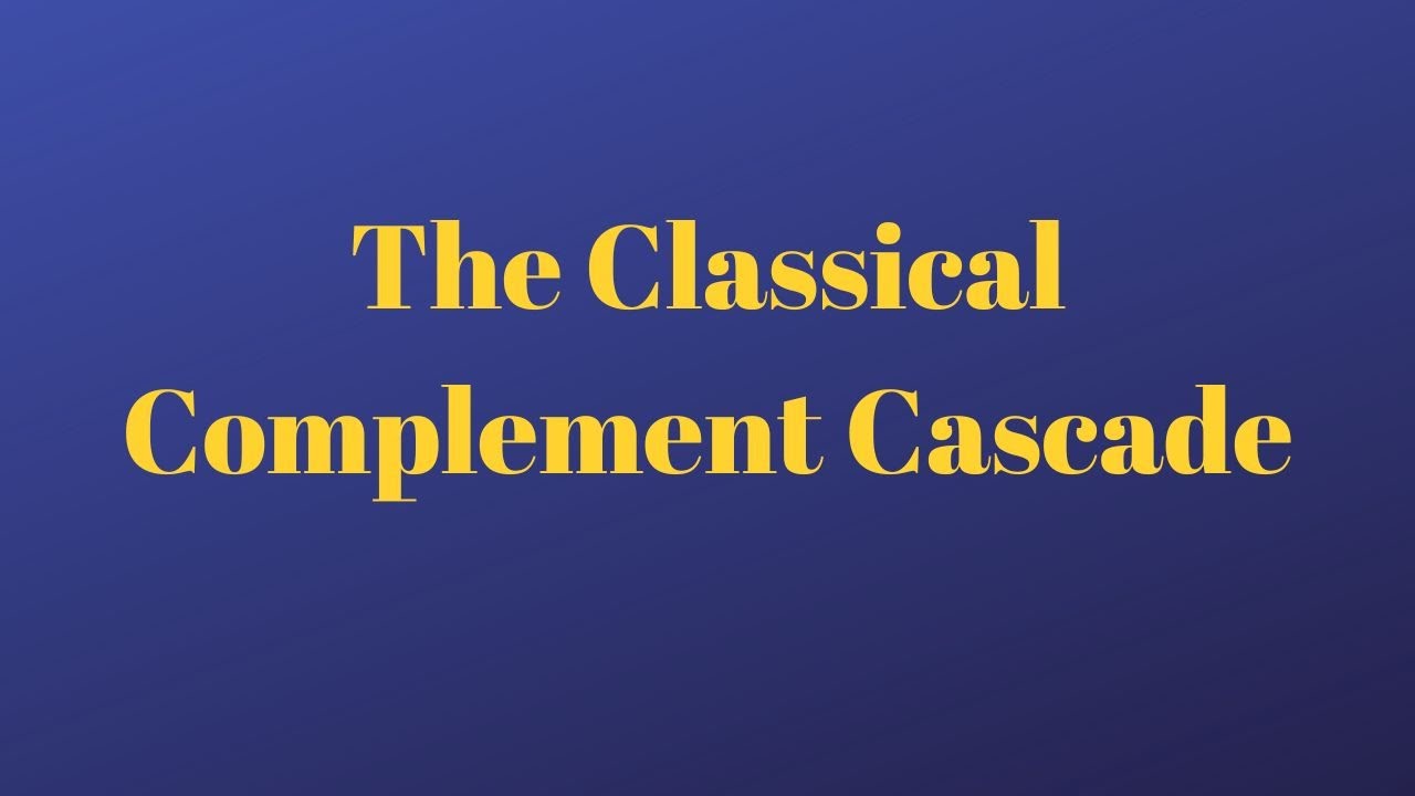 The Classical Complement Cascade, a creative expression - YouTube