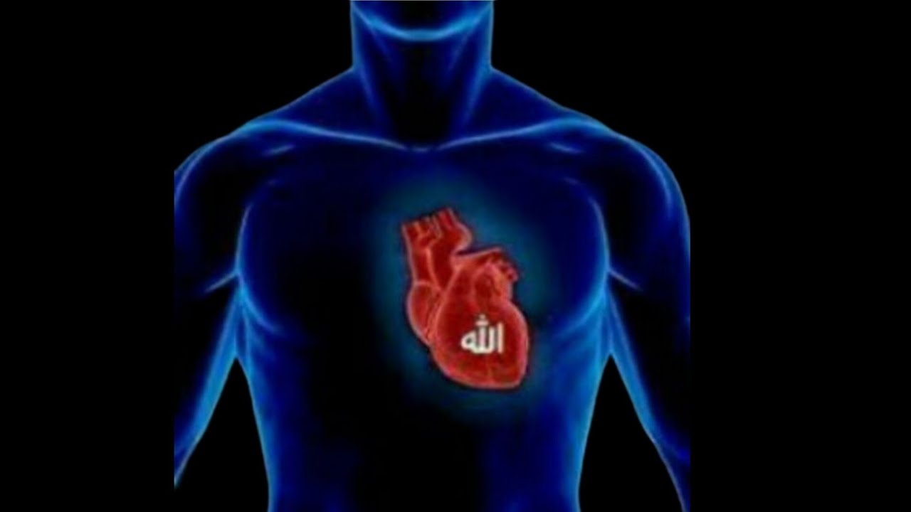 The Power Of Allah Zikr/Zikir ALLAH اللۀ /DZikir Allah - YouTube