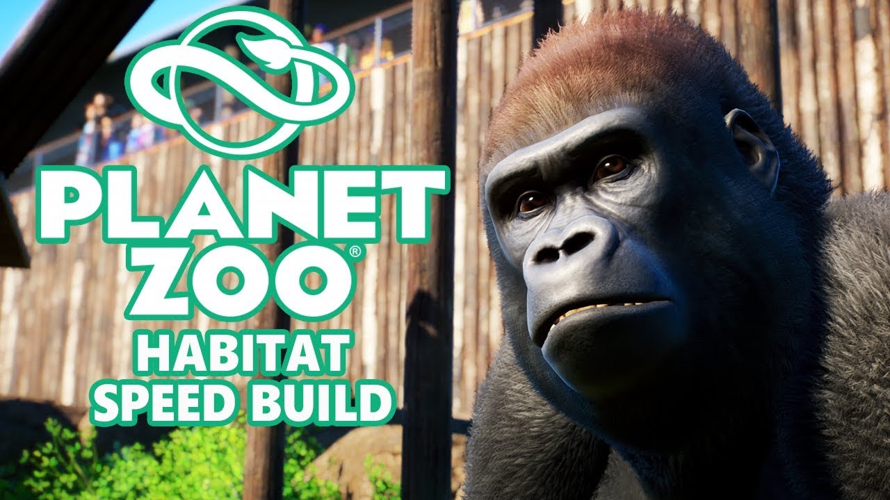 Building a Western Lowland Gorilla Habitat | Planet Zoo - YouTube