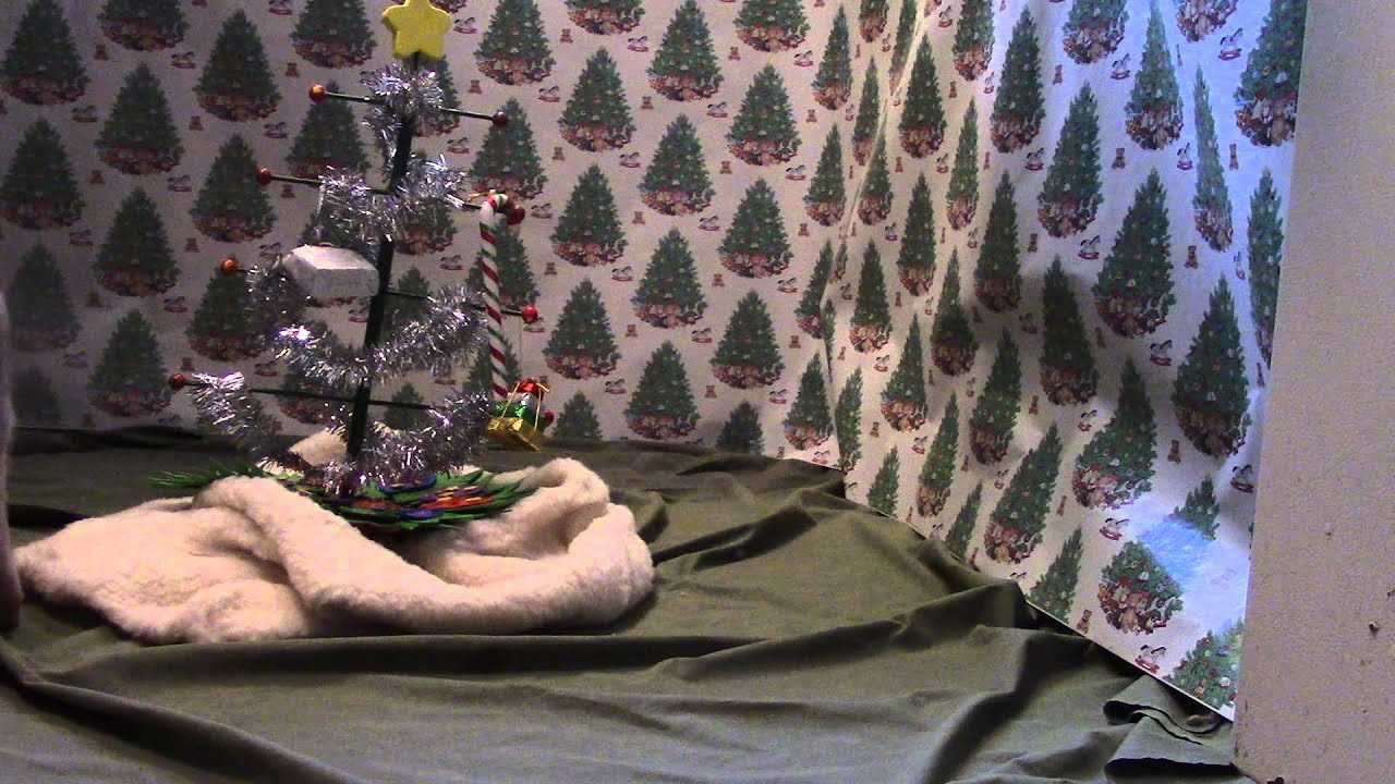 Amy Trotter Rocks Around the Christmas Tree! - YouTube