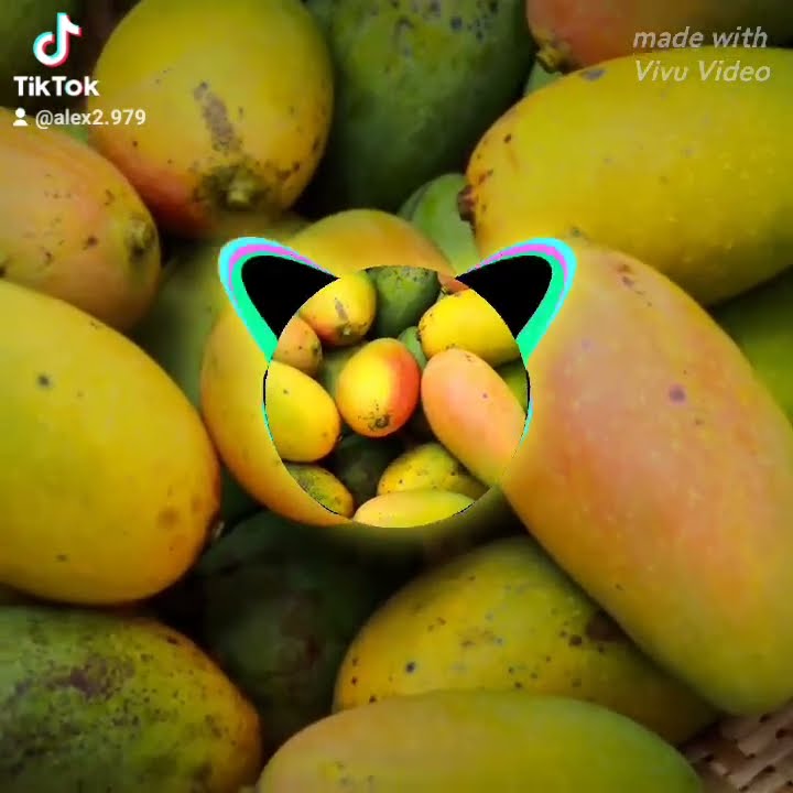 mango#phonk#music#vivo - YouTube