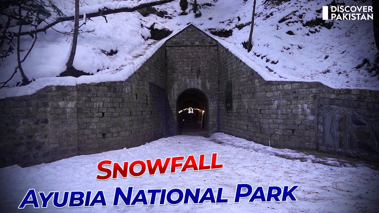 Snowfall in Ayubia National Park - Murree | Discover Pakistan TV - YouTube