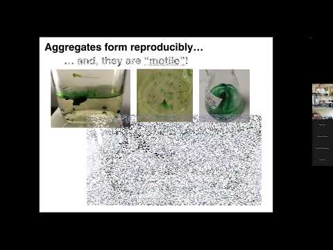 21/03/2025 Orkun Soyer - Physics of cyanobacterial motility... - YouTube