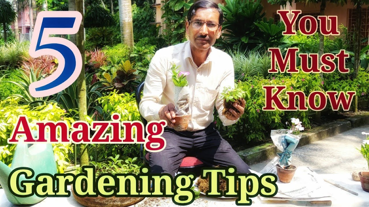 20 Essential Gardening Tips 🌱 Part- 4. These you Must Know - YouTube