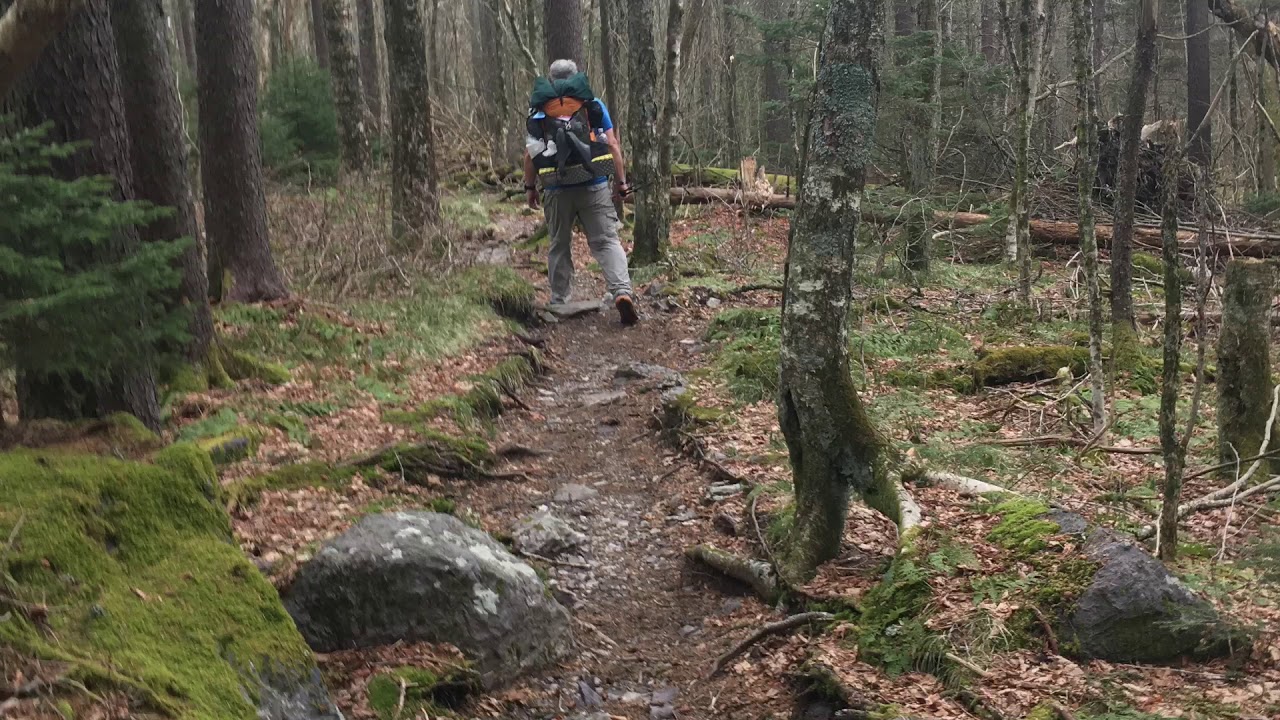 Appalachian Trail Damascus To Atkins Grayson Highlands - YouTube