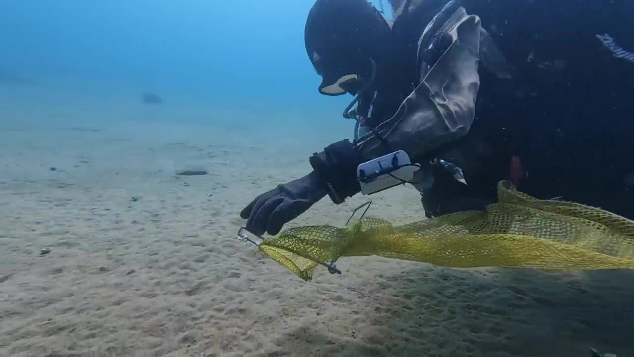 WATCH: Divers help clear large amounts of litter from Lake Tahoe - YouTube