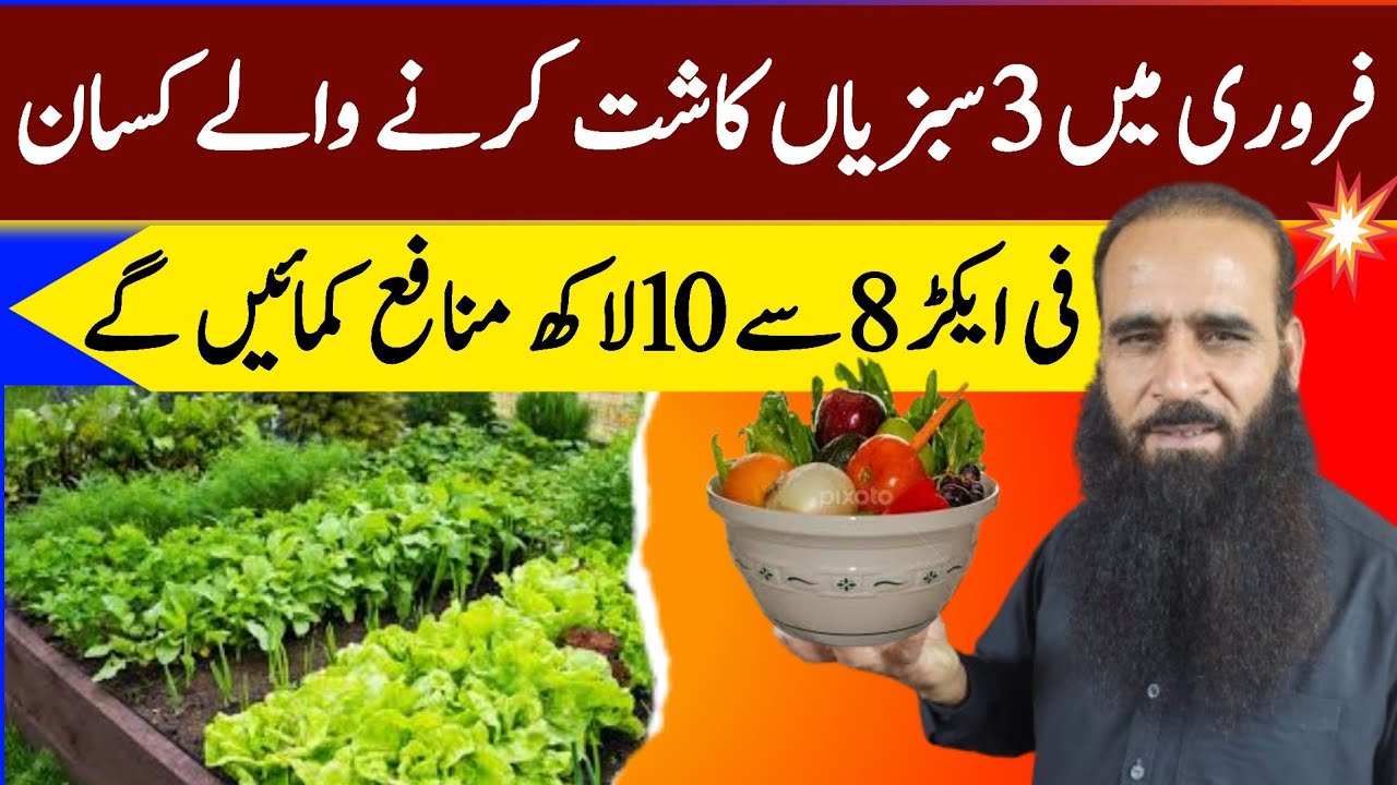 what to grow in February | february vegetables | vegetable garden ...