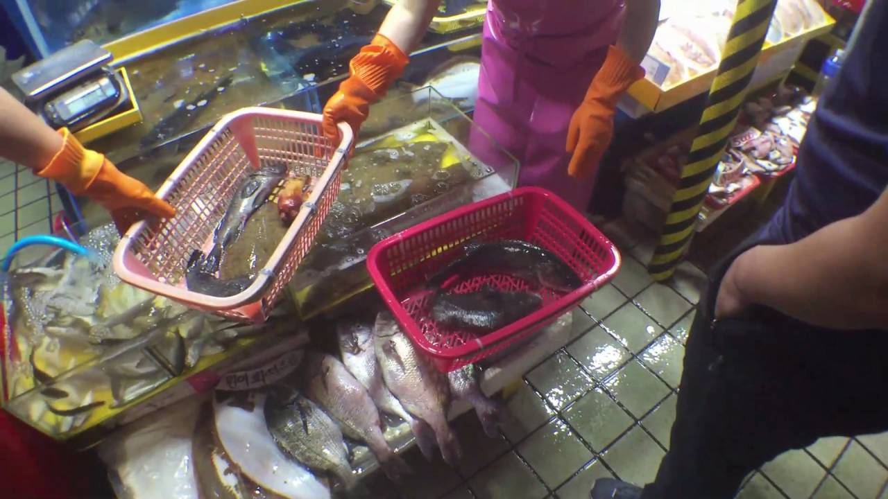 Incheon fish market, South Korea 인천 어시장 연안부두 - YouTube