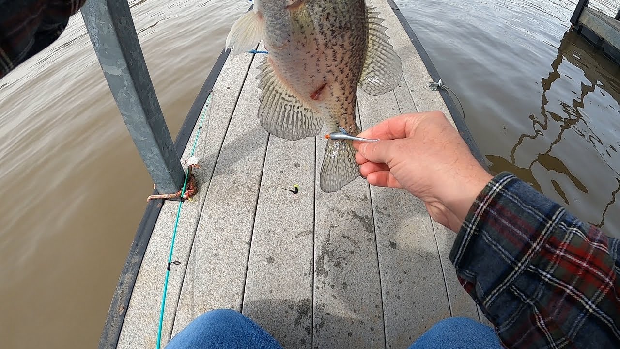 Lassoed this fish - YouTube
