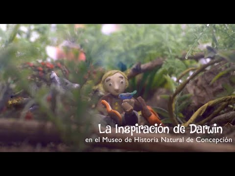 Exposición "La Inspiración de Darwin" en Museo de Historia Natural de ...