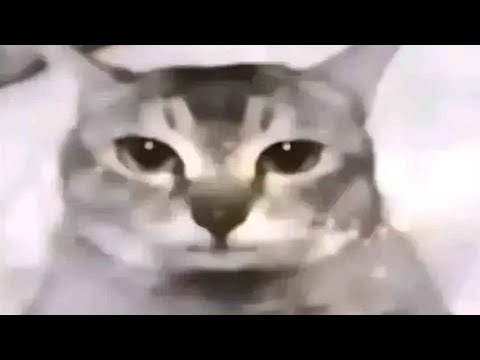 My first post?? And animation as well muehehehe (it's so crusty) (audio ...