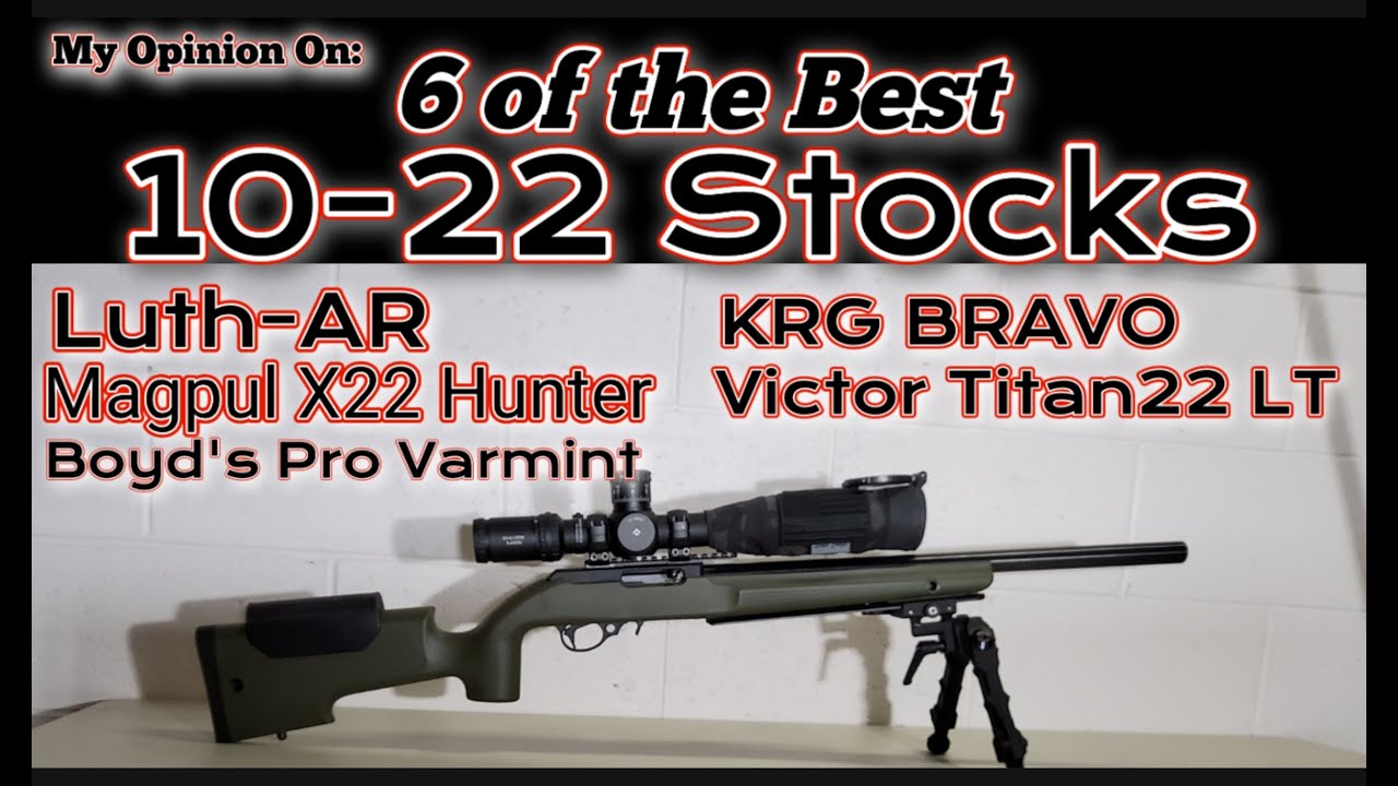 My Opinion on 6 Hot 10-22 Stocks - Victor Titan LT, Luth-AR, Magpul X22 ...