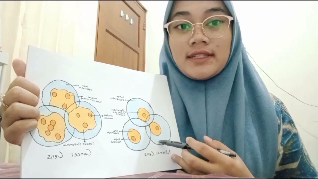 Praktikum menggambar dan menjelaskan perbedaan sel normal dan sel abnormal - YouTube