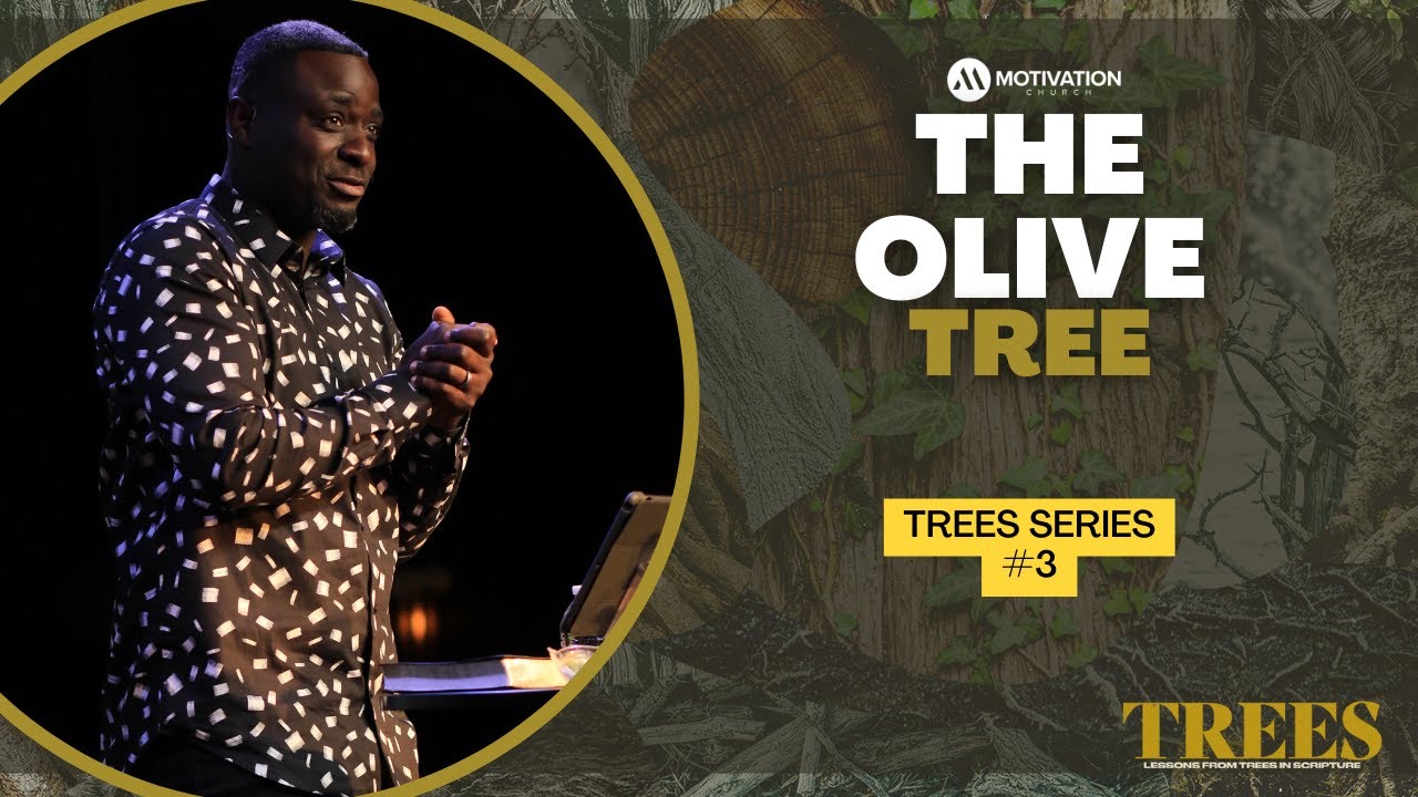TREES: The Olive Tree | Pastor Travis Jones | Motivation Church - YouTube