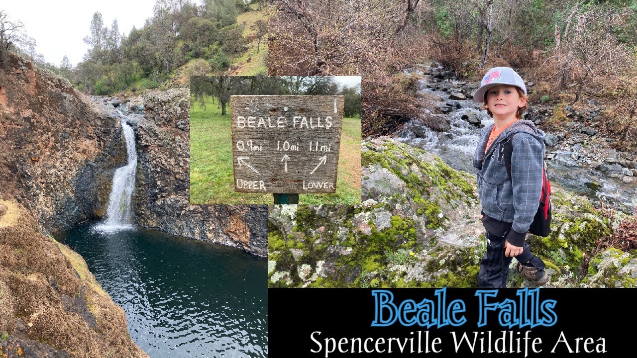 Beale Falls Day Hike | Spencerville Wildlife Area - YouTube