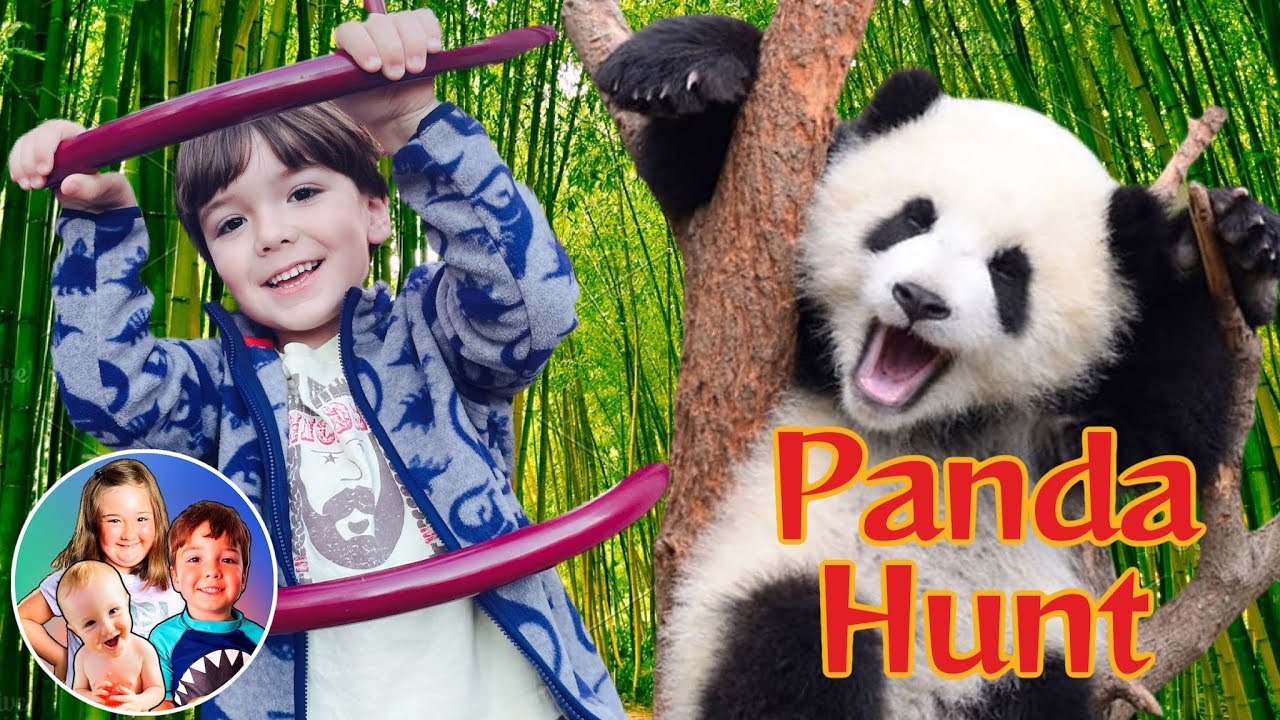 Panda Hunt! #goingonabearhunt - YouTube