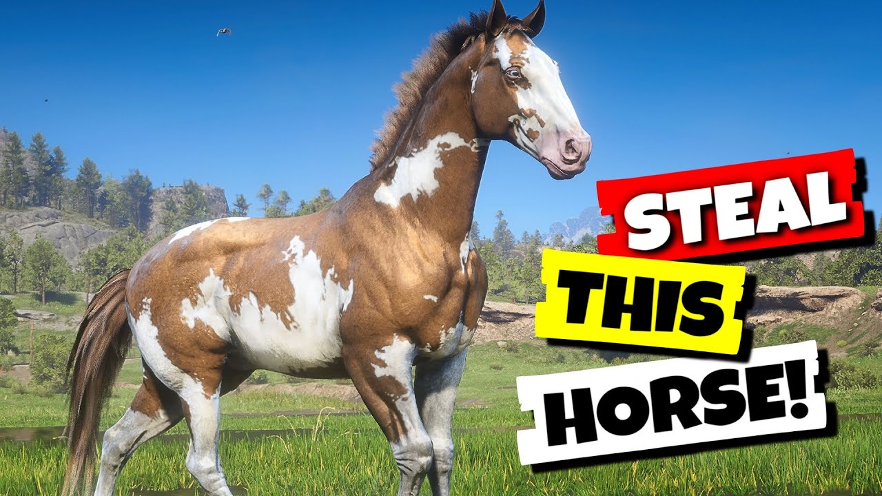 RDR2 - Get This Beautiful Horse Early and Easy (American Paint Overo ...