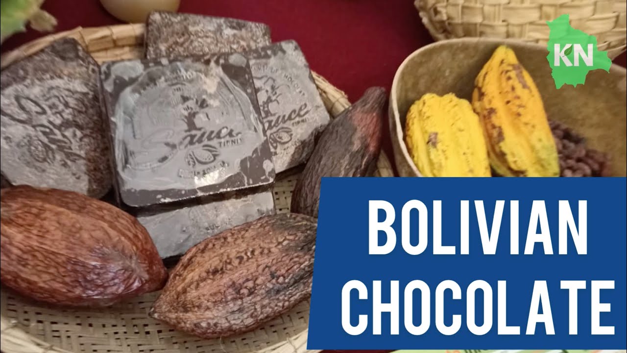 Bolivian Cacao & Chocolate - YouTube