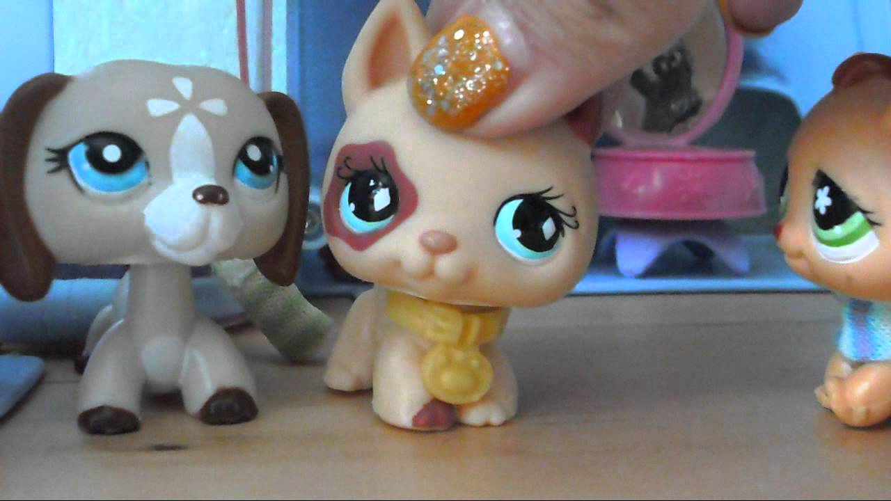 LPS: Sleepover (REMAKE: Part 3/4) - YouTube