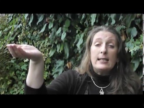 Amy Douglas - YouTube