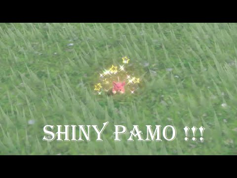 SHINY PAMO HUNT!!! - YouTube