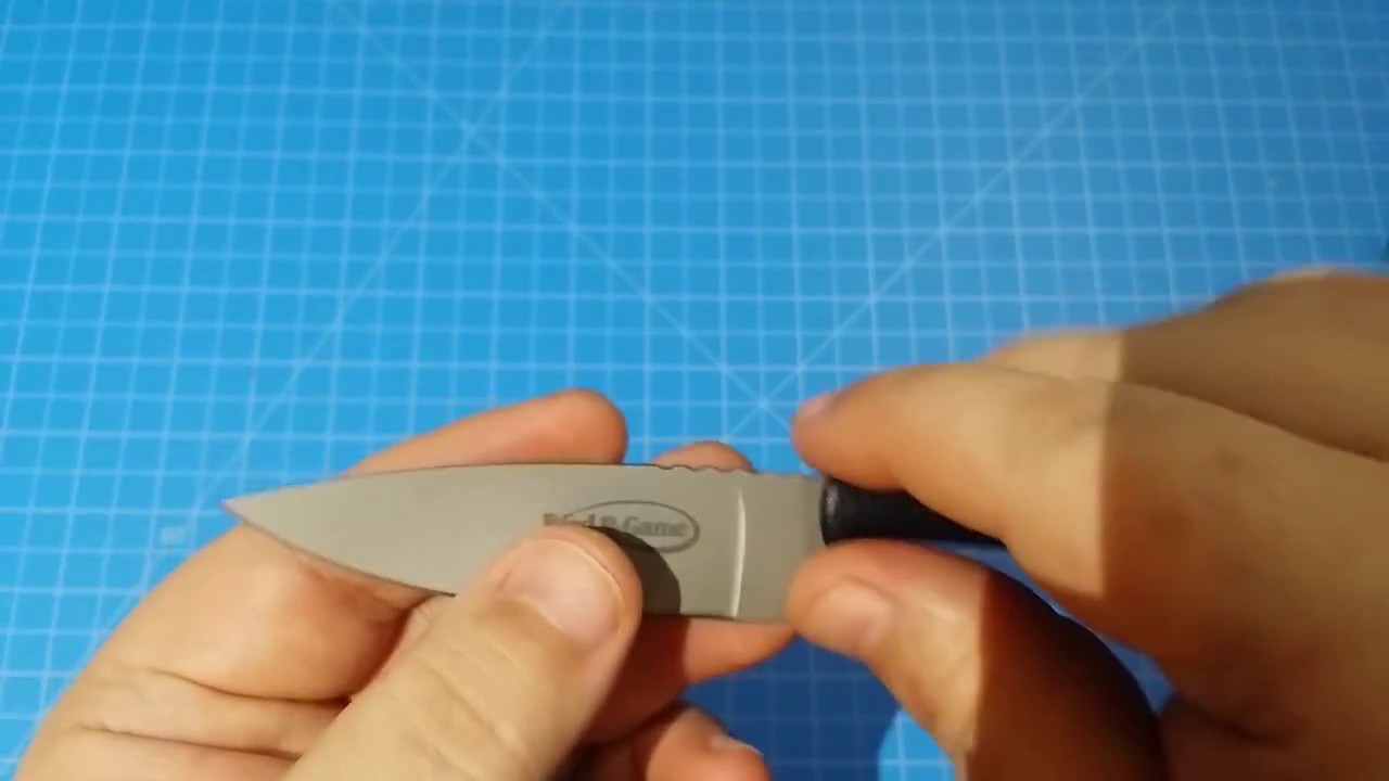 Cold Steel Bird & Game: Bird Not In My Hand. - YouTube