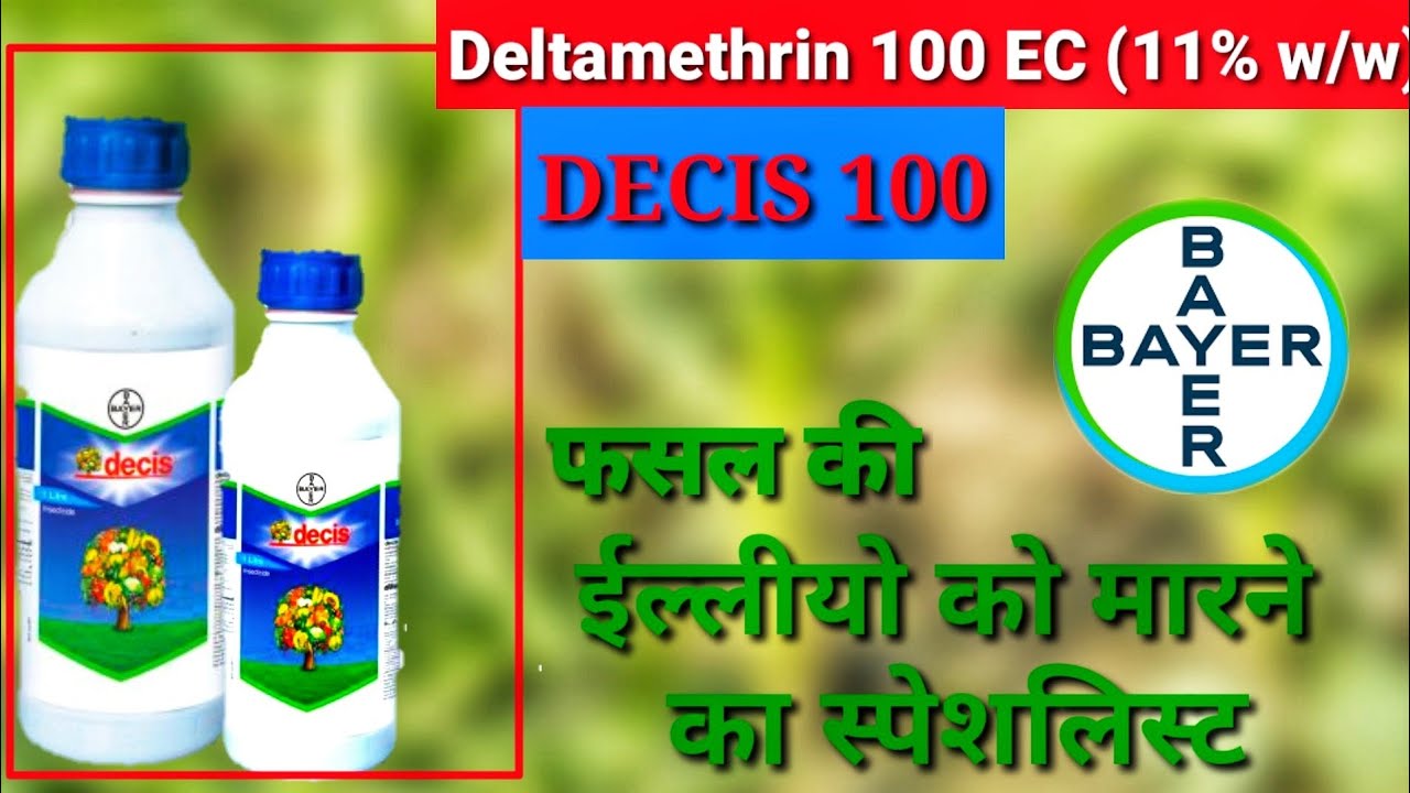 Bayer decis 100 insecticide | Deltamethrin 100 EC (11% w/w) | kitnashak ...