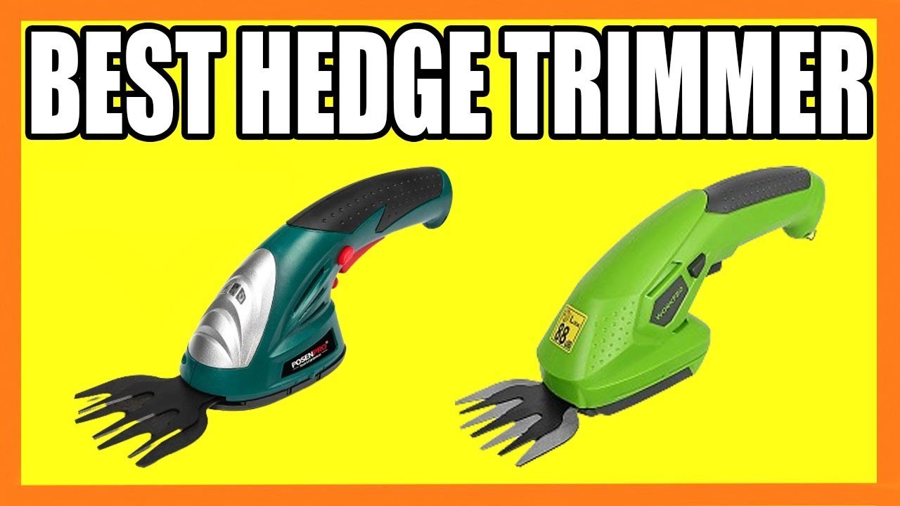 Top 5 Best Hedge Trimmer Box Aliexpress Amazon - YouTube