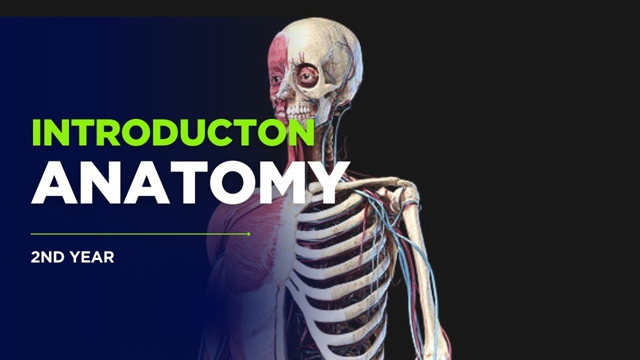 Introduction of second year Anatomy||Recommended books - YouTube