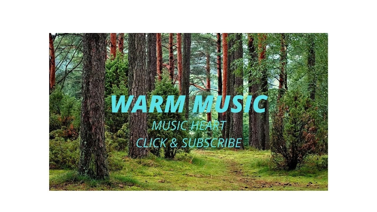 WARM MUSIC | MusicHeart - YouTube