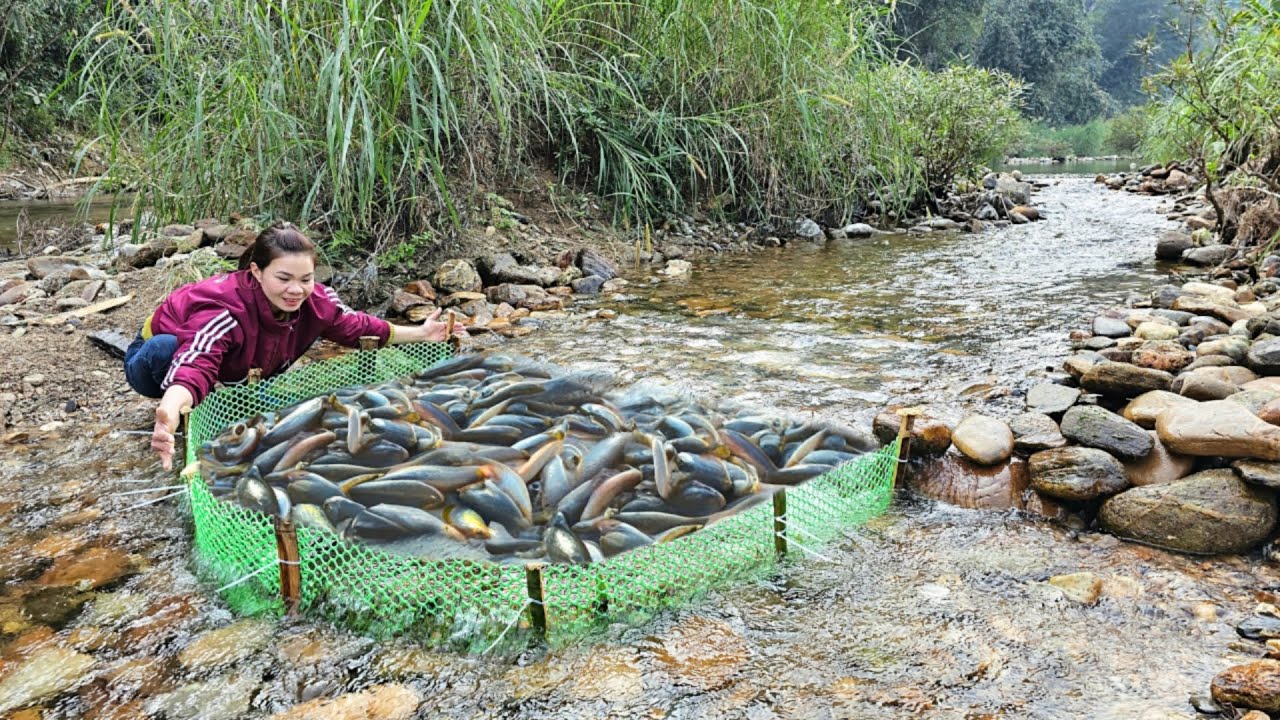 Simple yet extremely effective way to trap fish. Ana caught a lot of ...