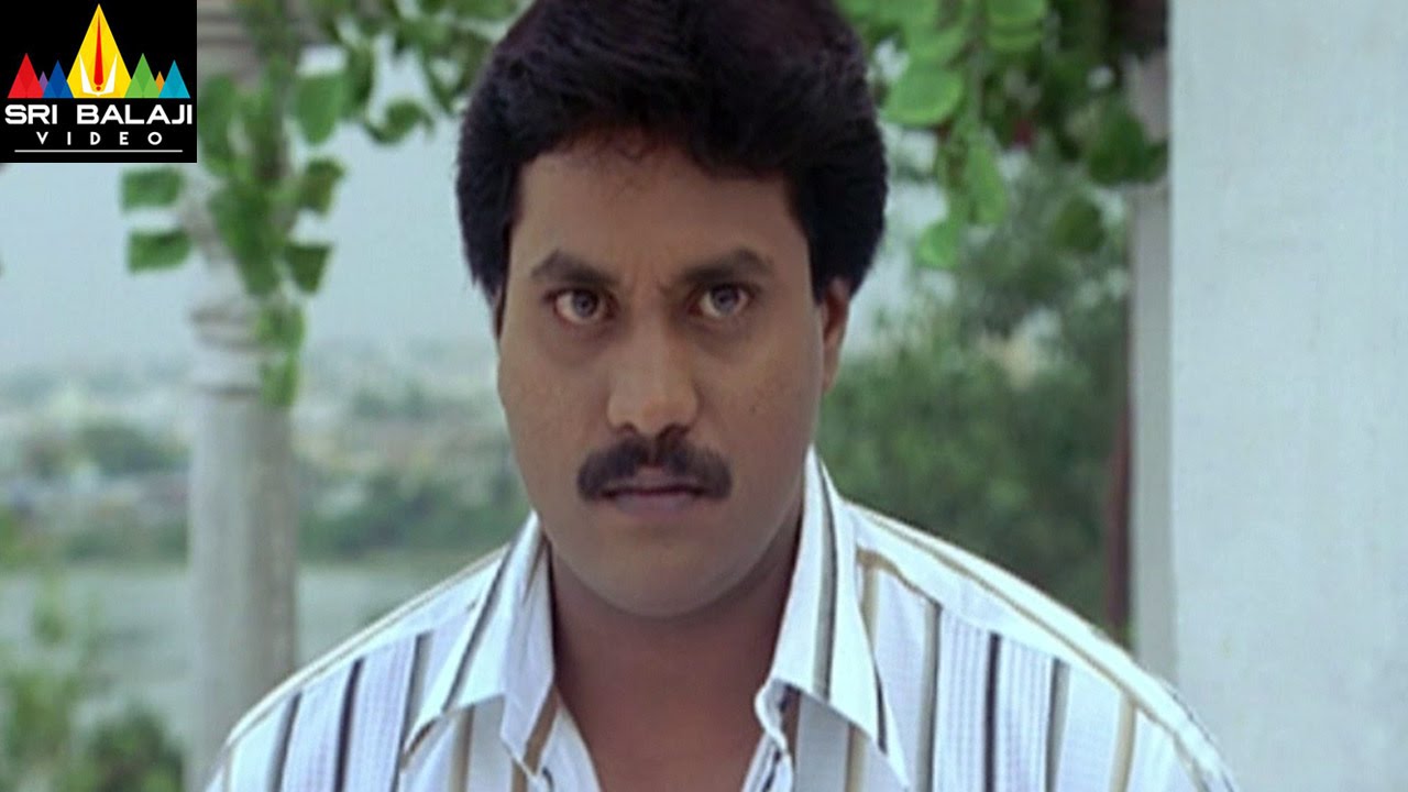 Comedy Scenes Back to Back | Telugu Comedy Scenes Volume 28 | Sri ...