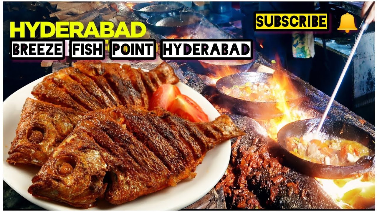 #vlogger |Breeze fish point hyderabad|🦈🔥 - YouTube