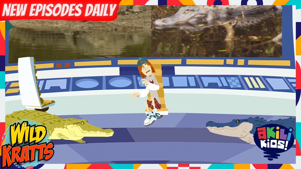 Wild Kratts | Crocogators In The Tortuga! | Akili Kids! - YouTube