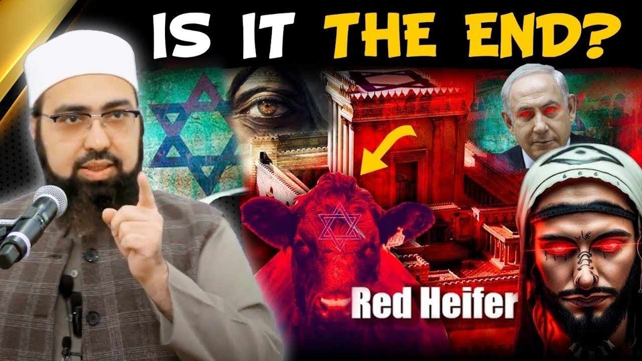 Red Heifer | Red Heifer and Islam | Mufti Yasir Nadeem Al Wajidi # ...