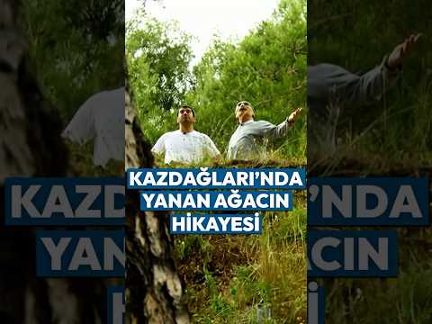Kazdağları’nda Yanan Ağacın Hikayesi! #tuncelkurtiz #kenanimirzalıoğlu