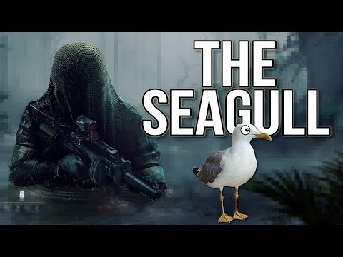 Introducing The Seagull | Rainbow Six Siege