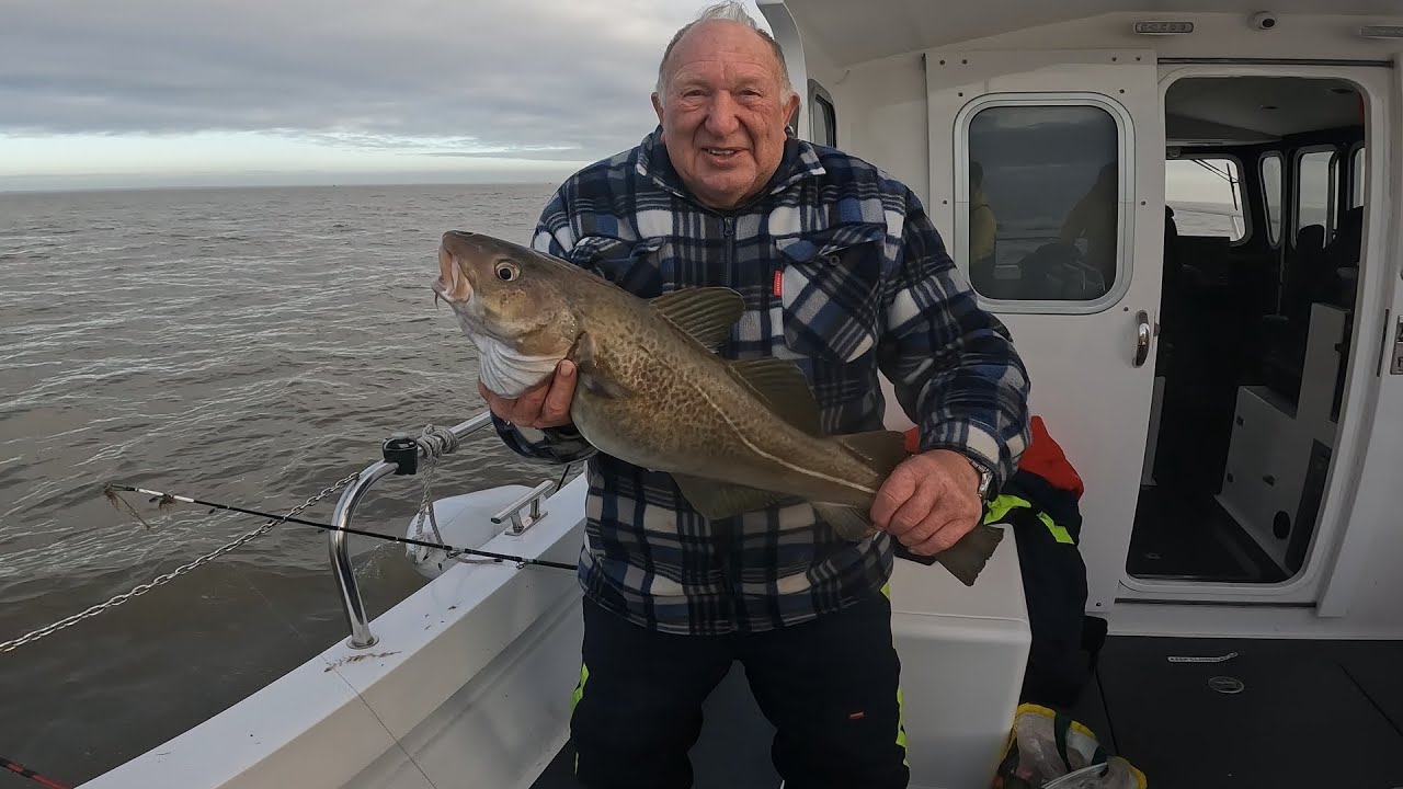 Hordes of Haddock and Cod in the Humber - YouTube