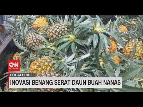 Inovasi Benang Serat Daun Buah Nanas - YouTube