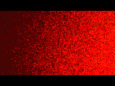 Sevgilim denmez artık uzaktaki sevgiliye