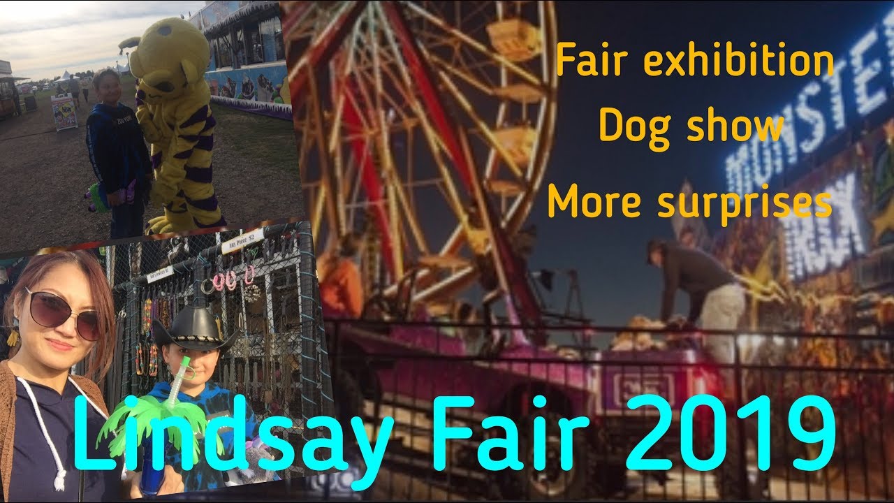 Lindsay Fair 2019 Exhibition - YouTube