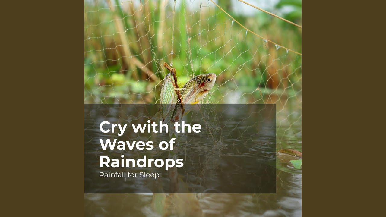 Twilight Rain Cloudburst - YouTube