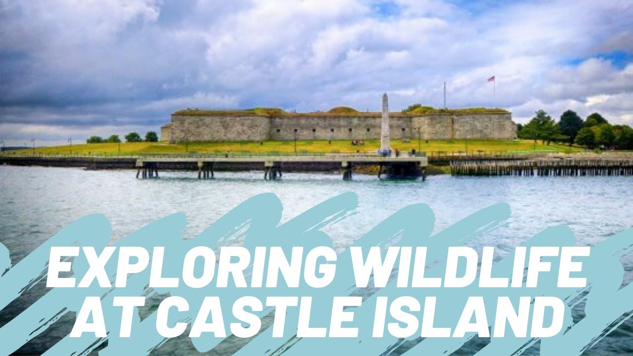 Fishin' and Crabbin' at Castle Island | Save the Harbor/Save the Bay ...