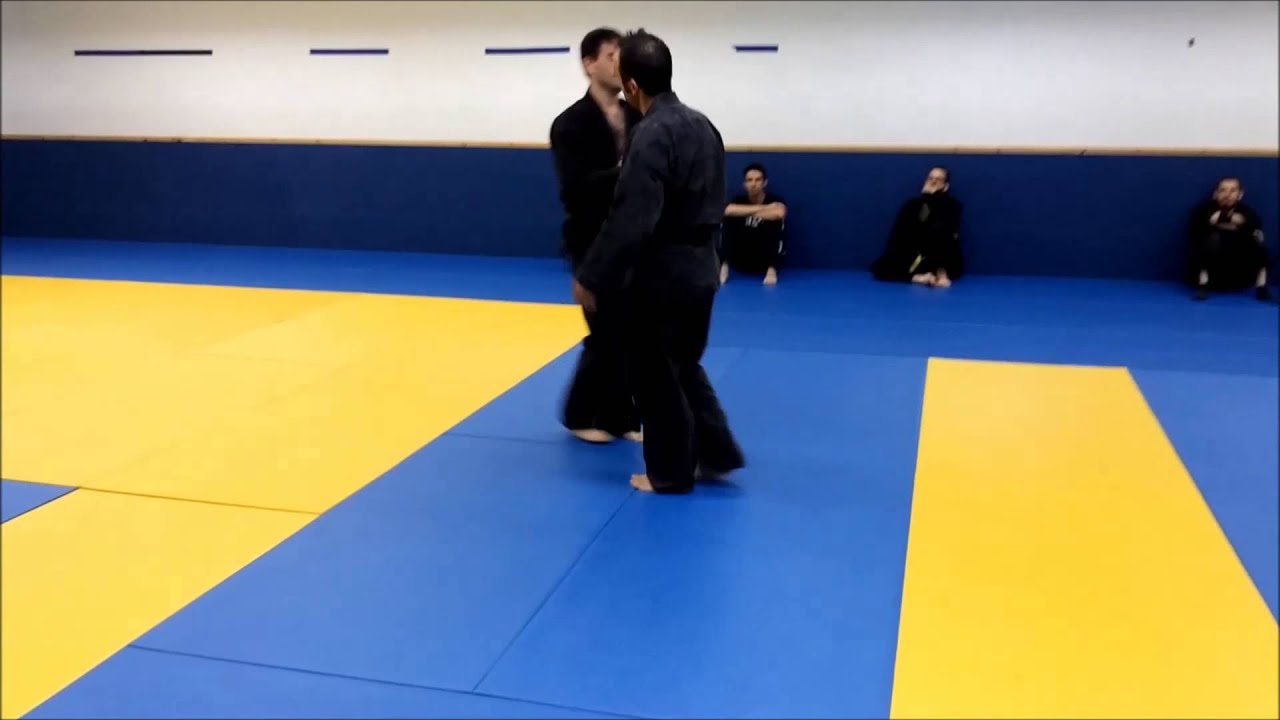 Part 3 - Randori (Free Fight) - Tactical Ninjutsu Smart Fighting Dan 3 ...