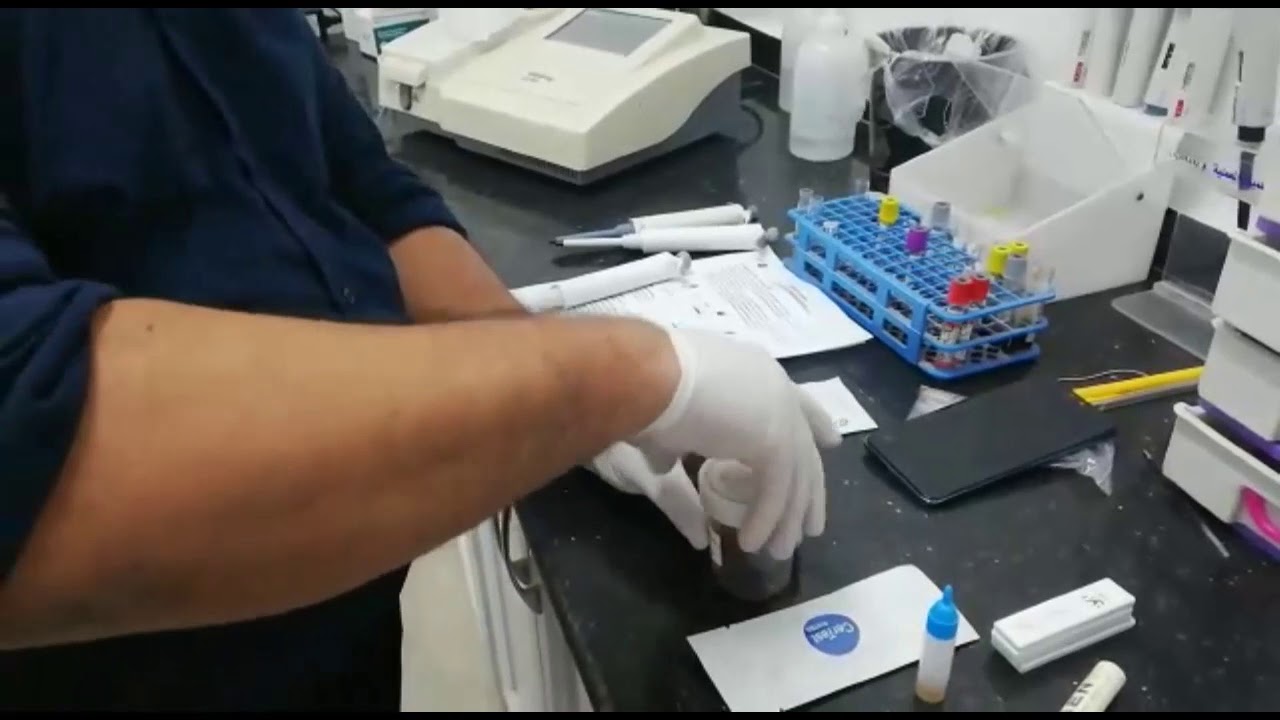 certest Helicobacter pylori antigen - YouTube